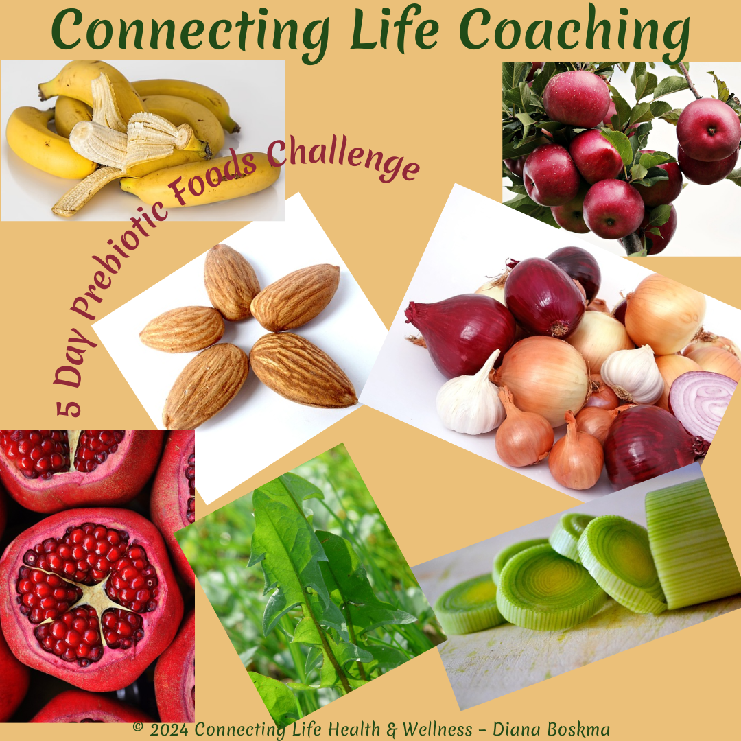 5 Day Prebiotic Foods Challenge - Connecting Life