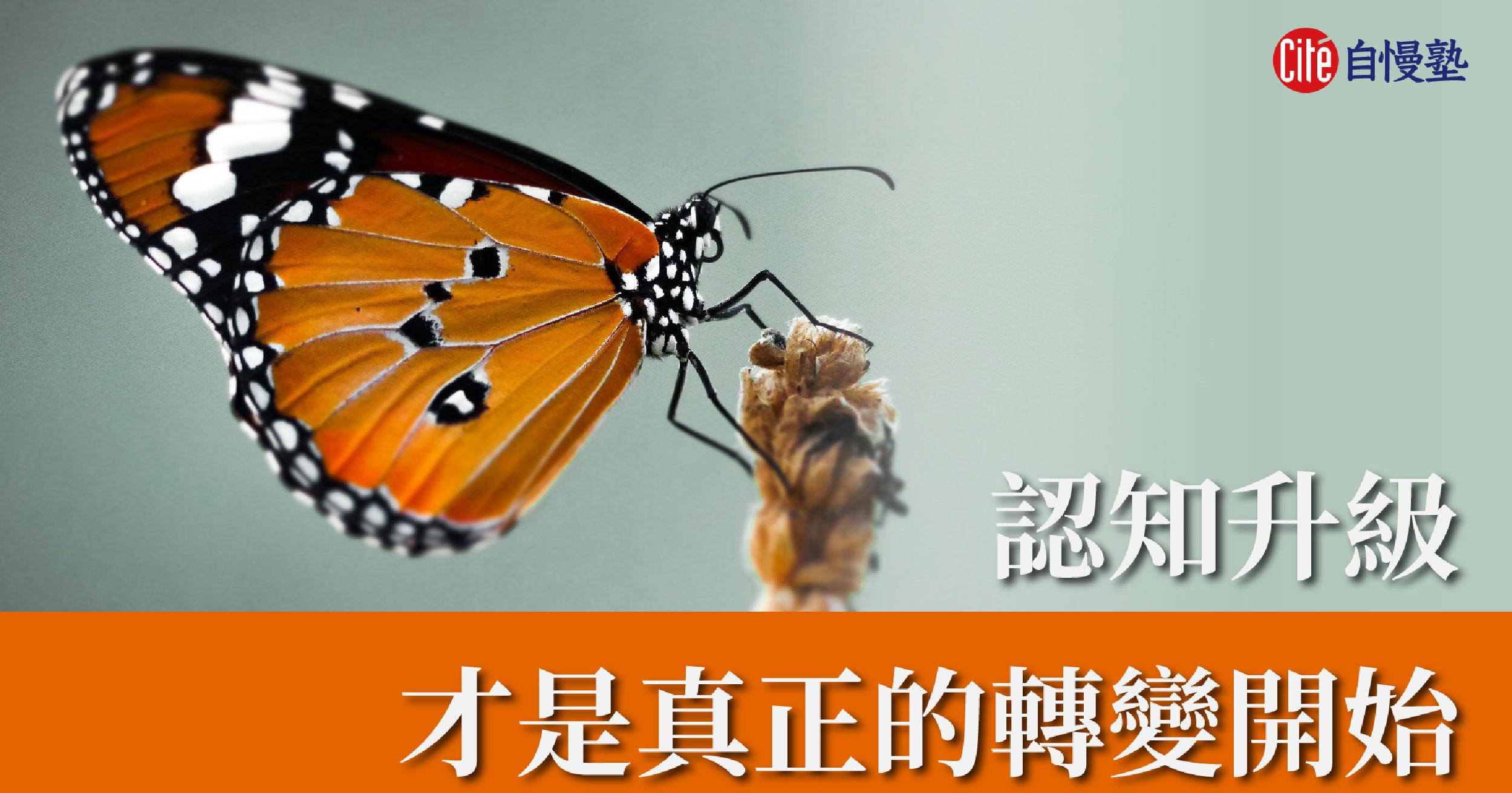 從毛毛蟲到蝴蝶：認知升級，才是真正的轉變開始 - 城邦學院 Cité Academy